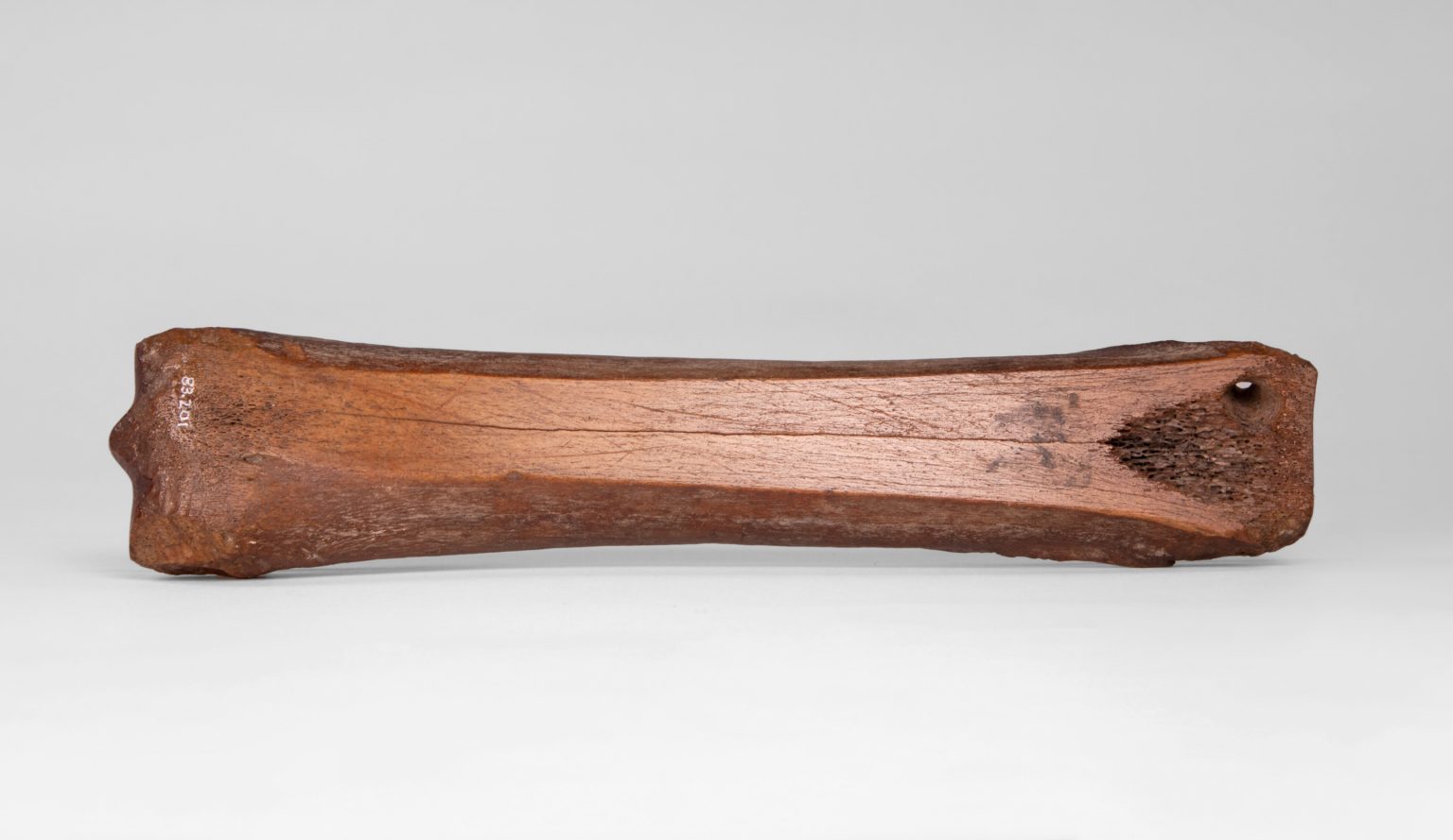 The Age of Discovery - Canada's Figure Skating History